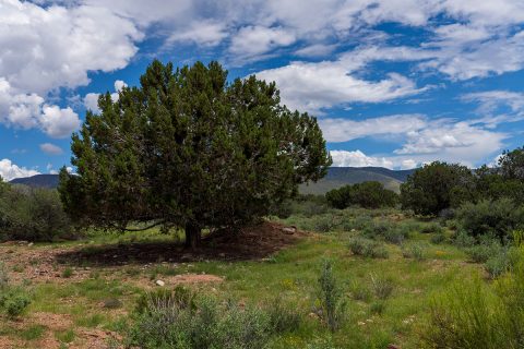 Greenwood Ranches | Western Land and Ranches