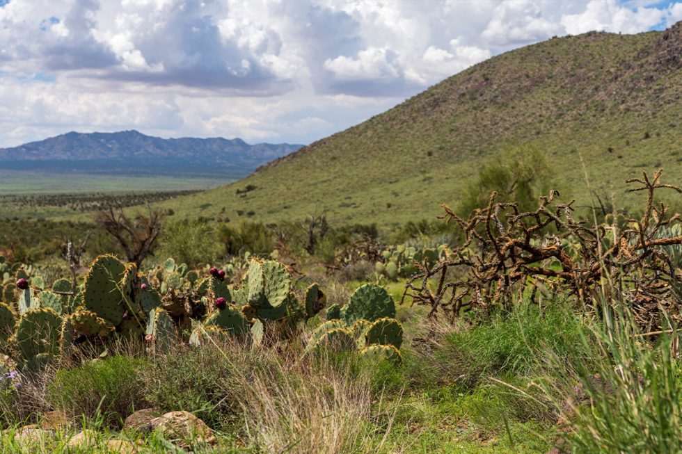 Greenwood Ranches – CTV 877-AZ-Ranch | Western Land and Ranches