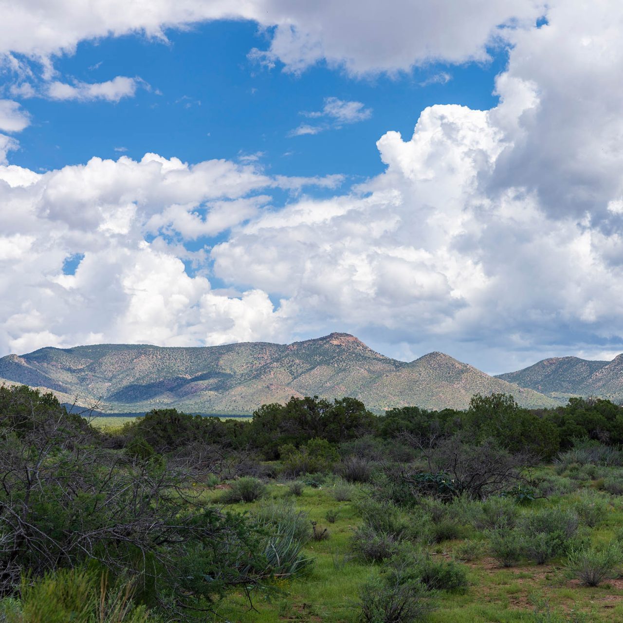 Western Land and Ranches