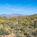 Western Land and Ranches